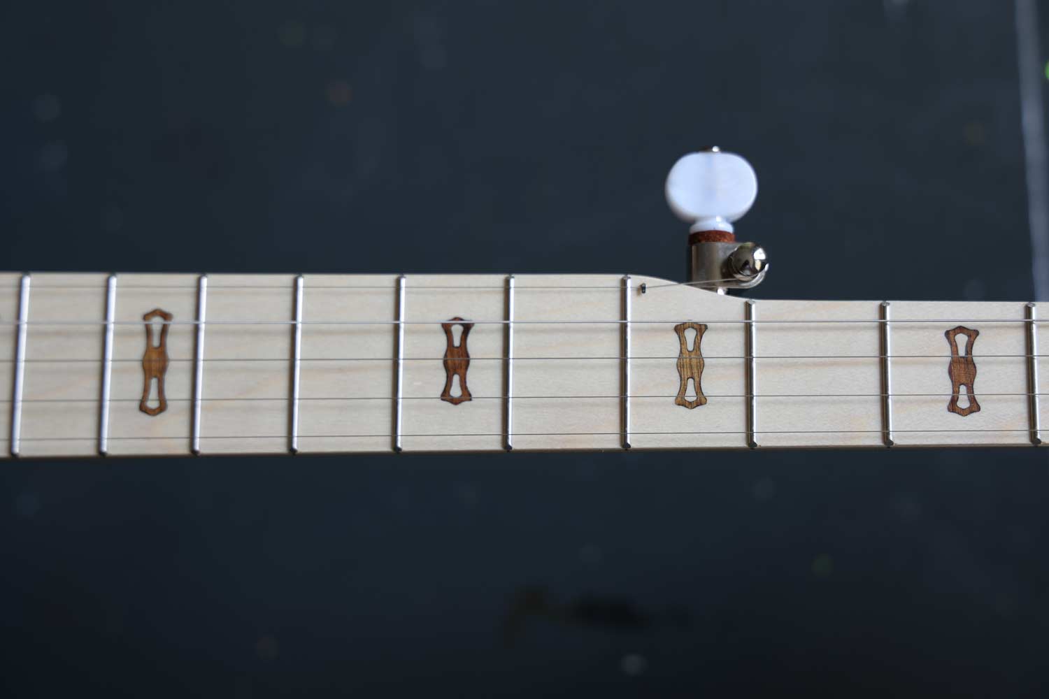 Why Doesn't A Goodtime Banjo Need A Truss Rod?